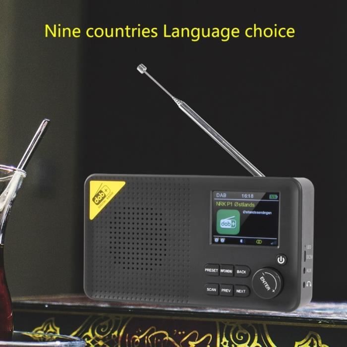 Radio numérique DAB-DAB + et récepteur FM, portable, Rechargeable ...