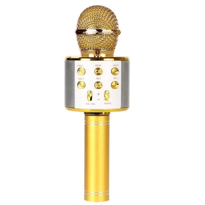 KISS-Microphone Sans Fil Karaoké Ankuka Micro Karaoke avec Lumières LED ...