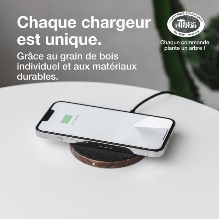 Chargeur Individuel Rapide, Station De Charge Inductive Avec Puissance ...