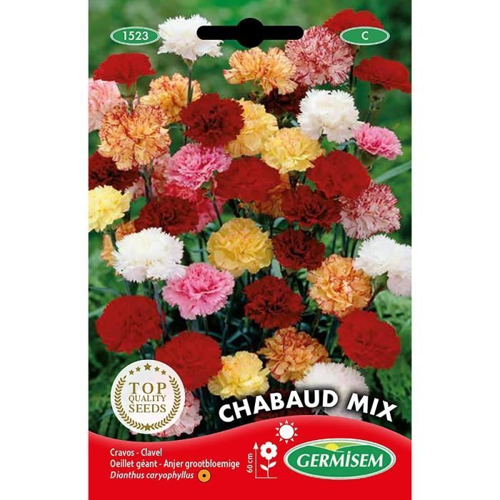 Graines Oeillet géant CHABAUD MIX[O25] - Cdiscount Jardin