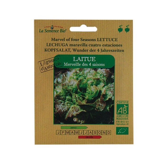 La Semence Bio - Laitue merveille des 4 saisons - Cdiscount Au quotidien