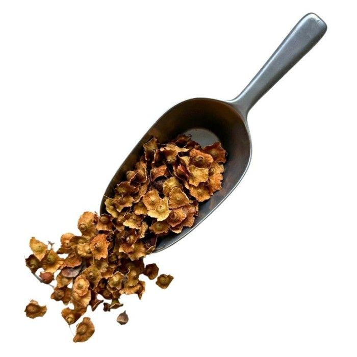 Tisane Paliure fruit ENTIER 1 KILO Paliurus aculeatus. - Cdiscount Au ...
