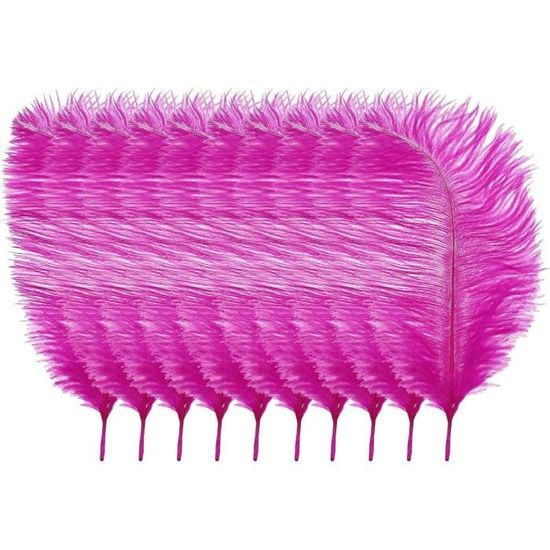 OTOTEC Lot de 10 plumes d'autruche duveteuses rose vif, 25,4 à 30,5 cm ...
