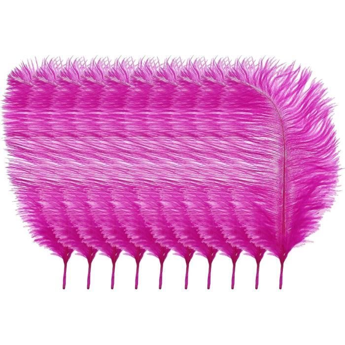 OTOTEC Lot de 10 plumes d'autruche duveteuses rose vif, 25,4 à 30,5 cm ...