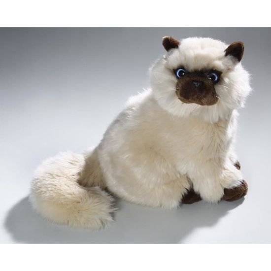 Peluche Chat beige, Siam 30cm [Jouet] - Cdiscount Jeux - Jouets