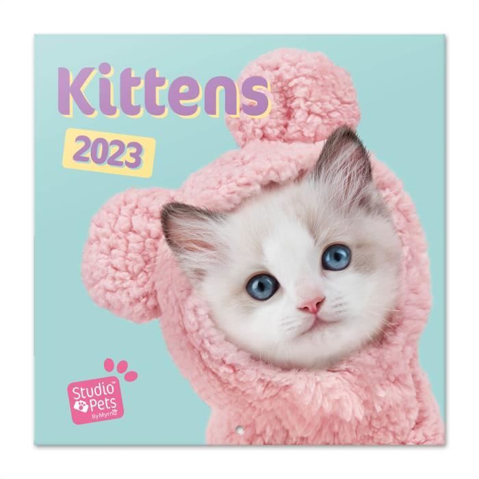 Studio Pets Cats 2023 Calendrier mural Studio Pets Cats - Cdiscount ...