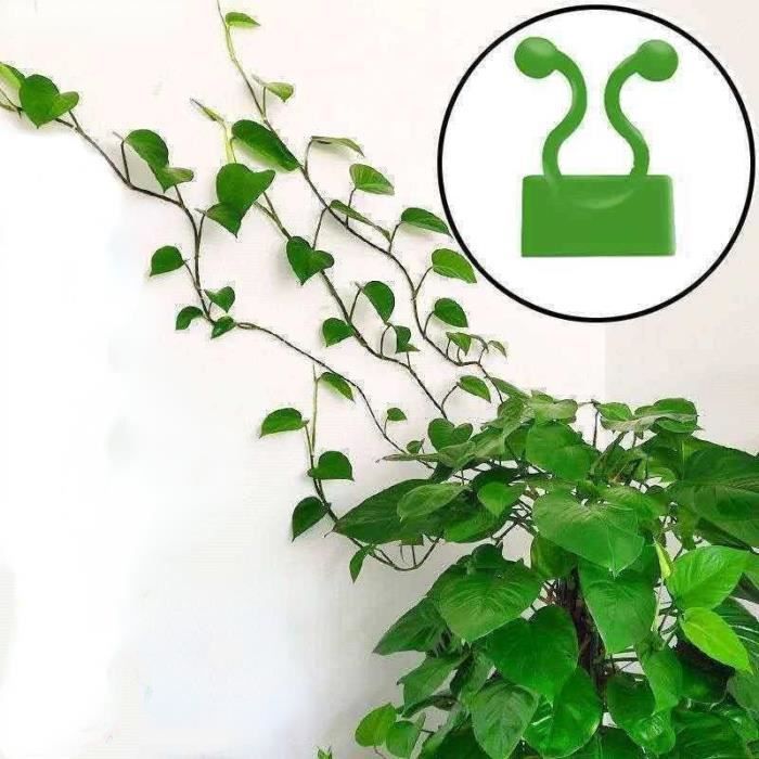 Outils de jardinage - Green - Crochet collant mural invisible - 50 ...