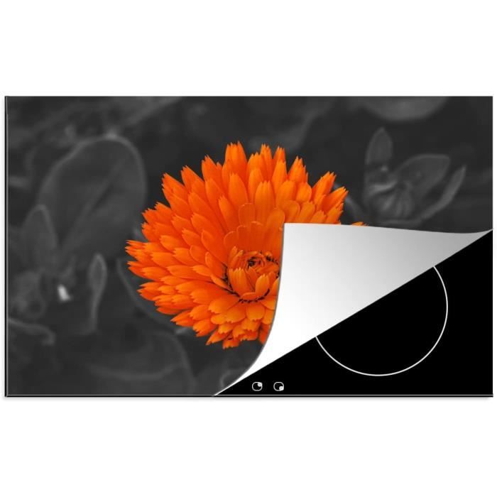 Protège-Plaque À Induction - Plaque Protection Vitrocéramique Induction ...