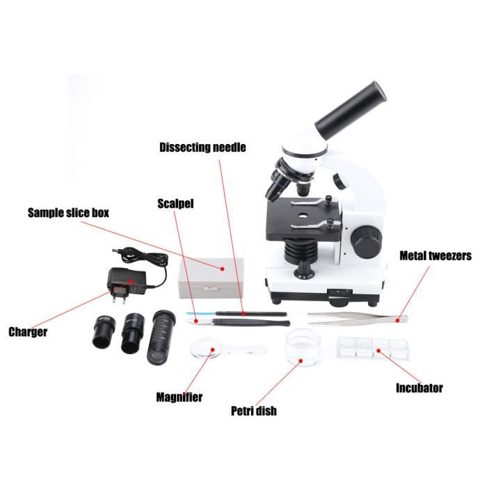 Microscope binoculaire biologique 40-640X avec LED - VBESTLIFE - facile ...