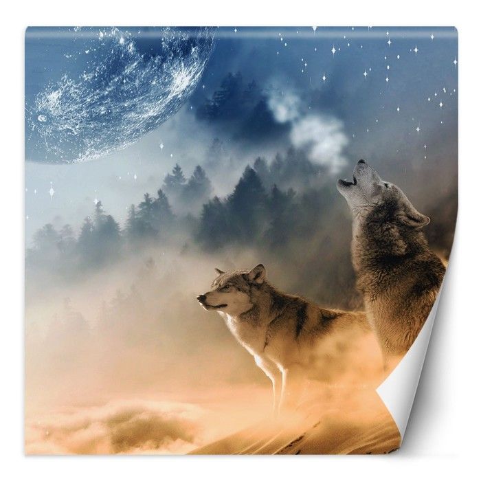 Papier peint mural Caro Wolf forêt lunaire dans le brouillard 150x150 ...