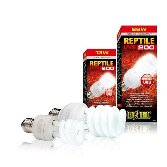 Ampoule fluocompacte UVB 200 - EXO TERRA - 13W - Reptile - Tortue - Cdiscount