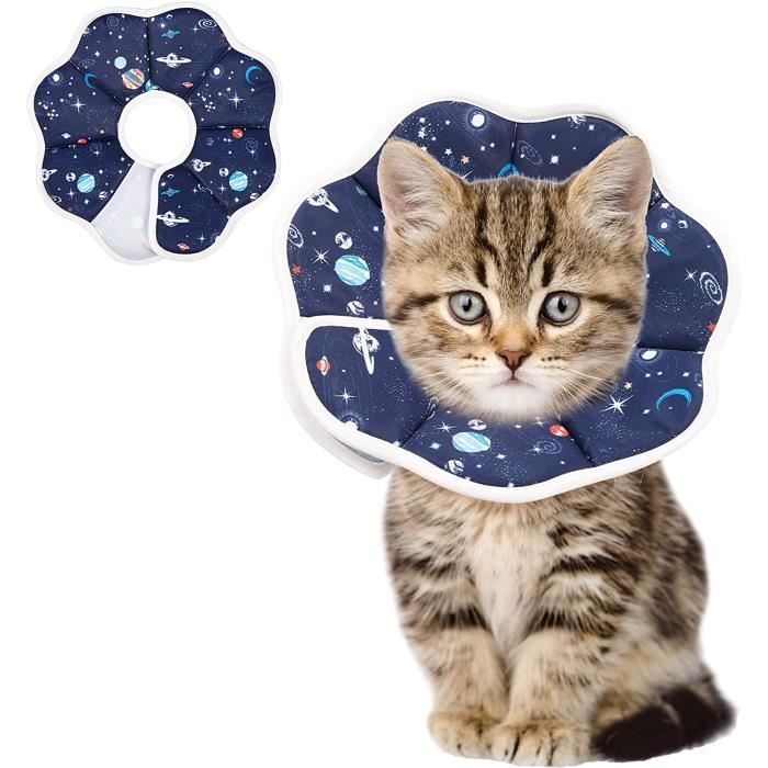 Collerette pour Chat - Ajustable - Anti-Morsure - Protection ...