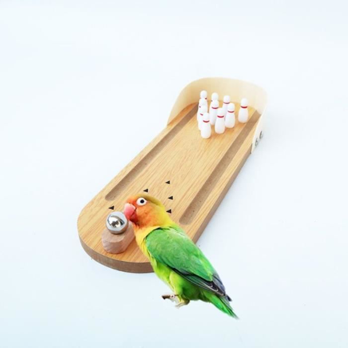 Mini perroquet oiseau jeu de bureau Jouet en bois, Mini perruche de ...