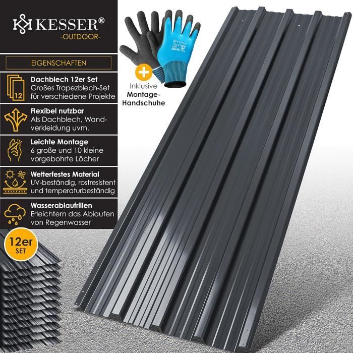 SER 12 plaques de tôle profilée trapézoïdale 129 cm x 45 cm 7 m² Tôle ...