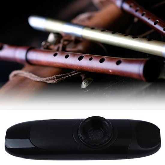 Akozon Kazoo professionnel Kazoo électrique 11 cm en résine ...