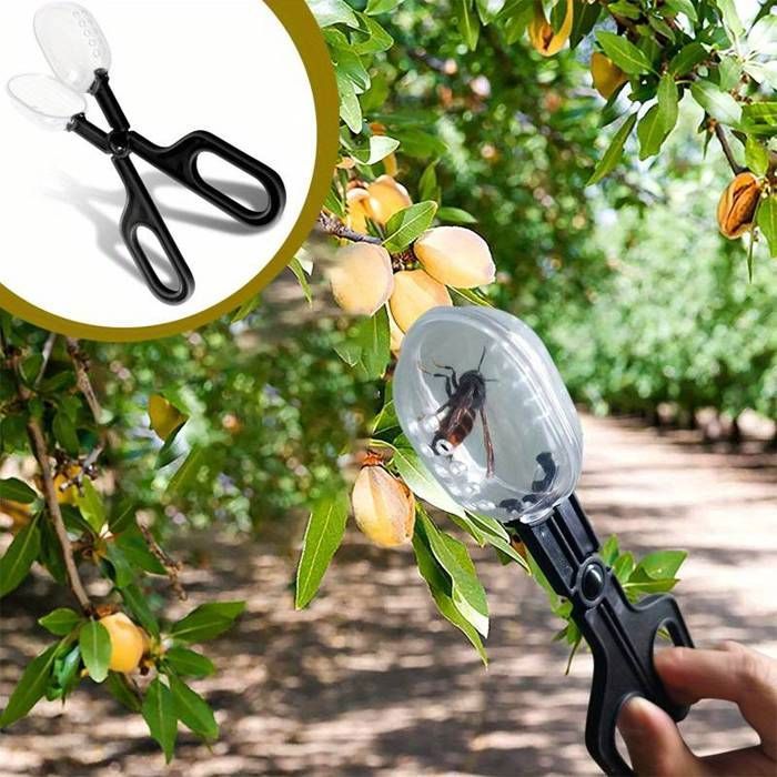 Piège Capture Insectes avec Pince – Élimination facile sans contact ...