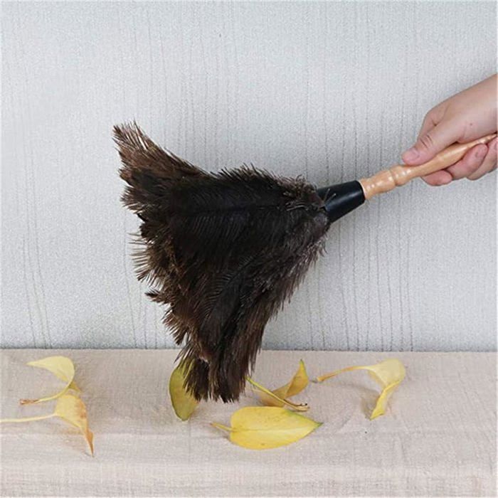Plumeau pour la maison et le bureau - Plumes d'autruche naturelles, 32 ...