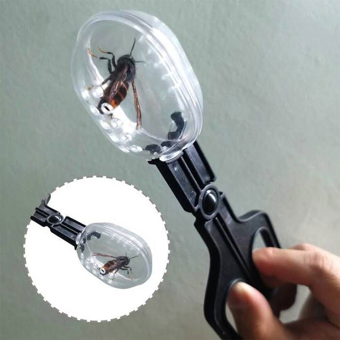 Piège Capture Insectes avec Pince – Élimination facile sans contact ...