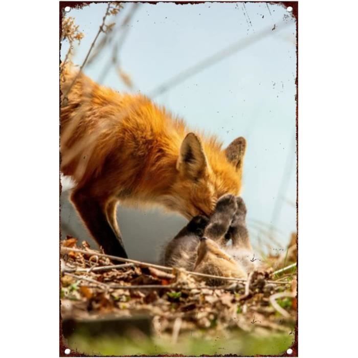 Poster Métallique Affiche,Renard des Animaux de la forêt,Peinture Art ...