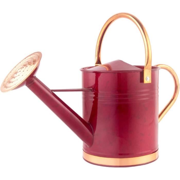 Arrosoir En Métal Galvanisé De 5 L - TRAHOO - Arrosoir ergonomique ...