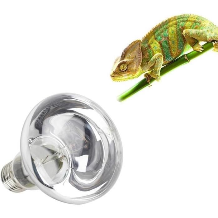 Lampe Chauffante Terrarium Lampe Chauffante Tortue Lampe De Chaleur En ...