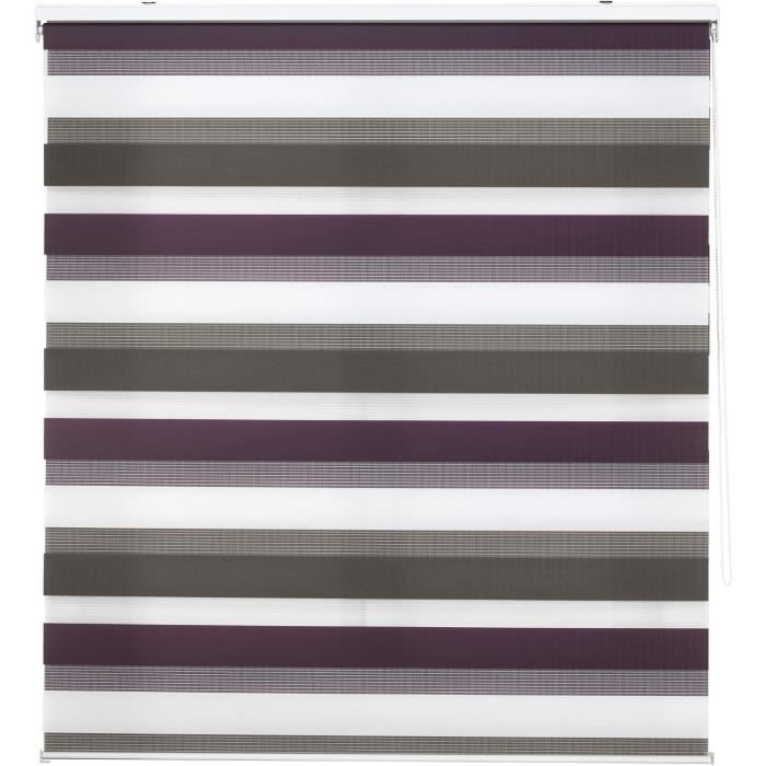 Store Enrouleur Nuit Et Jour Double Épaisseur Premium - Store Nuit Et ...