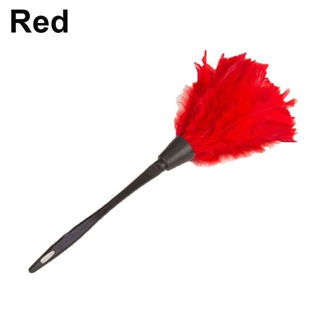 PLUMEAU,red--Plumeau télescopique extensible, plumeau magique, brosse ...