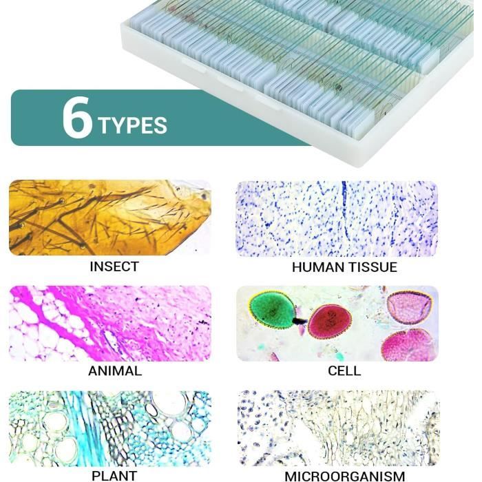 Ensemble de 100 Lames de Microscope avec Spécimens pour Enfants et ...