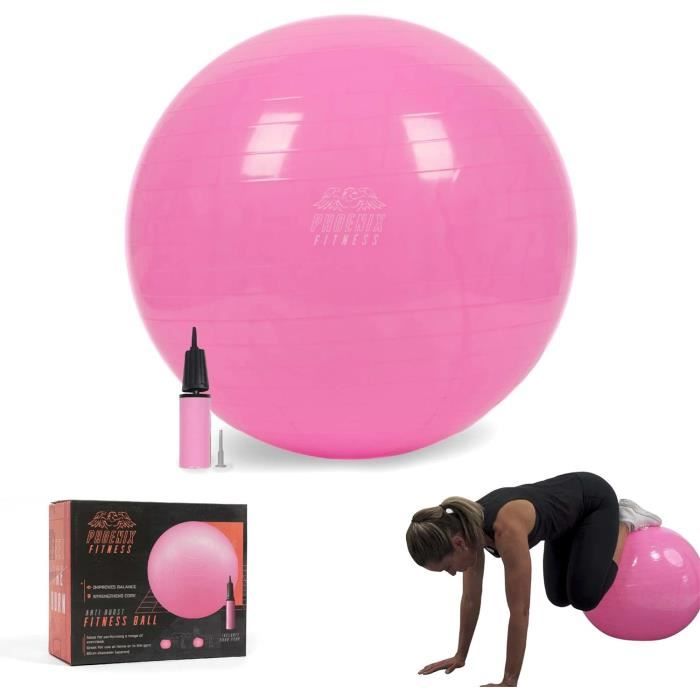 Ballon De Fitness Anti-Éclatement - Ballon D'Exercice Avec Pompe À Main ...
