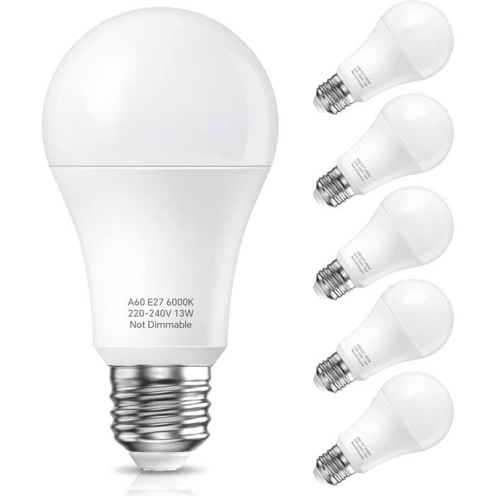 PURSNIC Ampoules LED Standard E27, Blanc Froid 6000K, Ampoules Globe ...