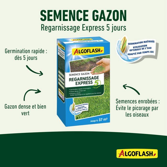 Semence Gazon Regarnissage Express 5 Jours - 800 G, Verte - Cdiscount ...