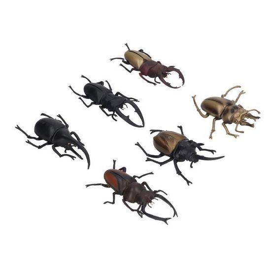 Jouets pour insectes - VGEBY - Simulation insecte modèle - PVC non ...