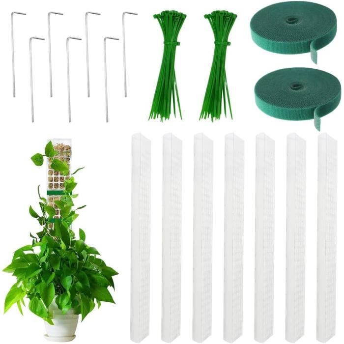 Tuteur Monstera 60cm, 7 Pièces 24in Tuteur Plante Grimpante Transparent ...