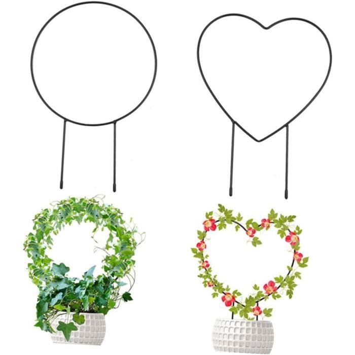 8 Pièces Support pour Plantes Grimpantes Vignes Florales Porte-Fils ...