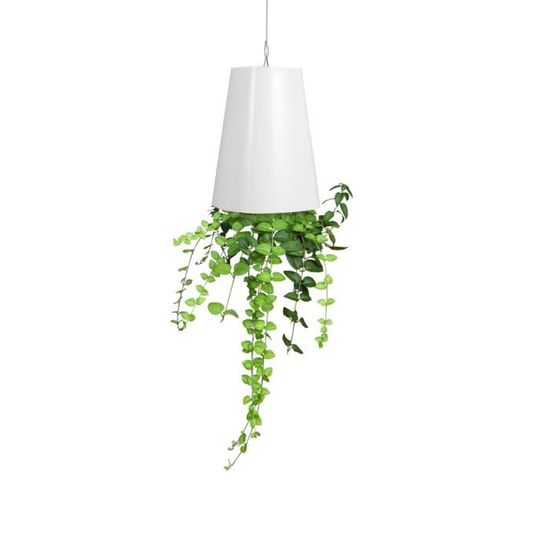 YNJ® Pots de Fleur Suspendu à l'Envers Jardinière en Plastique (blanc ...