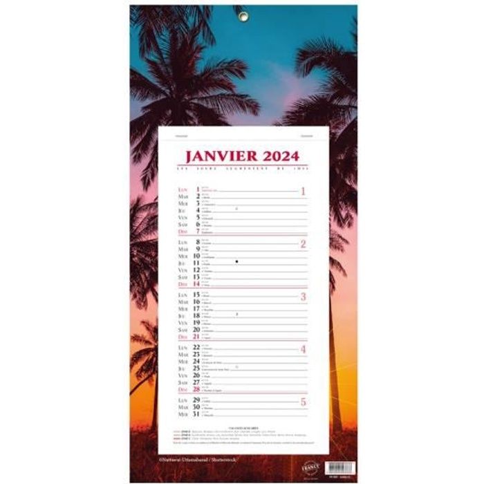 Calendrier Bloc Mensuel Mural 2024 - 16x33.5cm - Evasion - Cdiscount ...