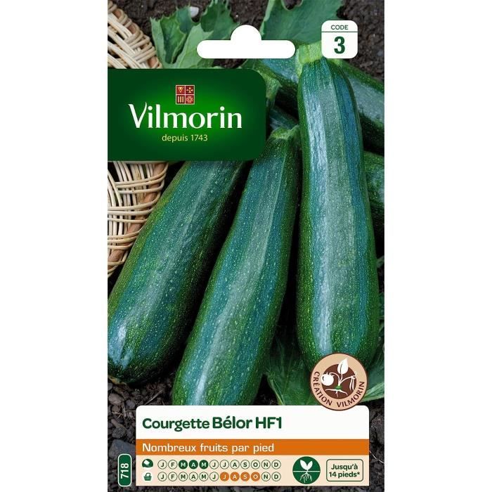 WEYE-3486443 Pack de Graines Courgette Belor HF1 Obtention[2406 ...