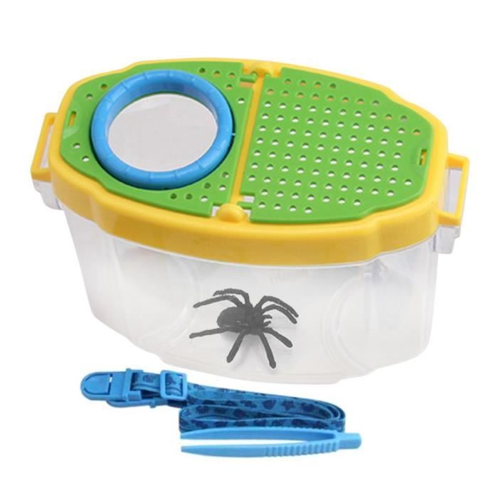 Valeur Vert Loupe pour Observer les insectes, Kit de loupe pour ...