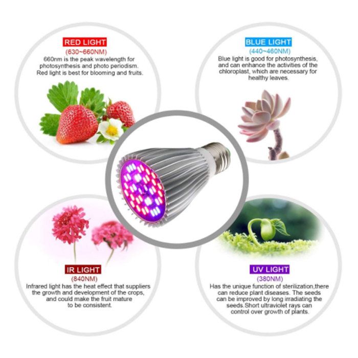 Ampoule LED spectre complet pour plantes - Lampe de culture pour ...