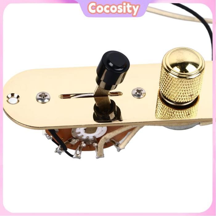 Cocosity Plaque de commande de guitare précâblée Prewired Guitar ...