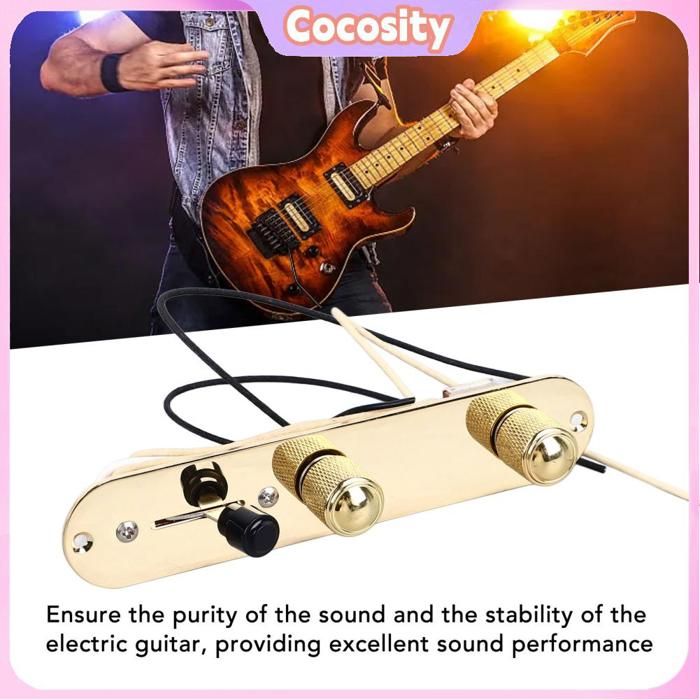 Cocosity Plaque de commande de guitare précâblée Prewired Guitar ...