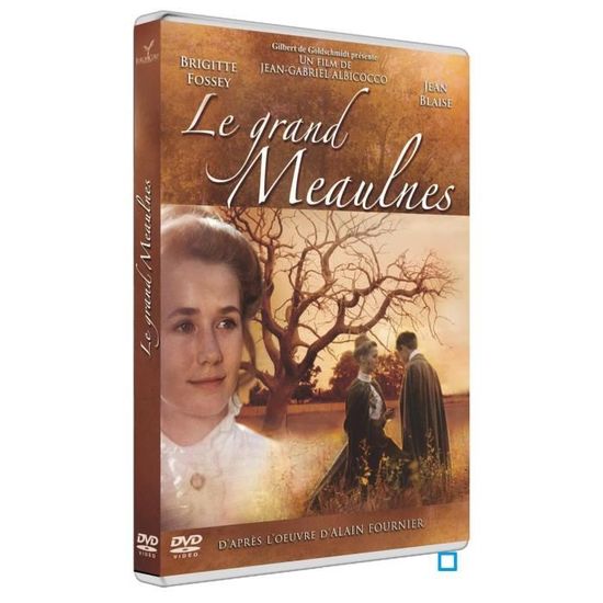 DVD Le grand Meaulnes - Cdiscount DVD