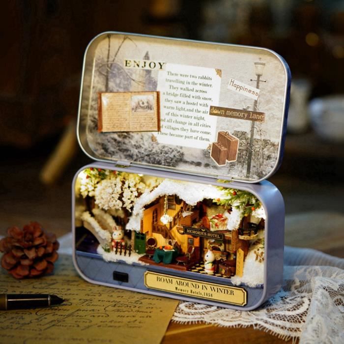 Vvikizy Maison de poupée DIY Boîte Miniature faite à la main, maison de ...