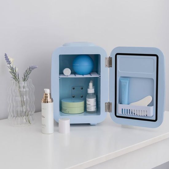 Flamingueo Mini Frigo - Petit Refrigerateur 4L, 12V/220V, Fonction ...