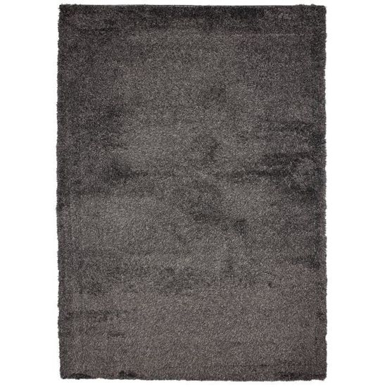 TAPISO Tapis Salon Shaggy Poils Longs EVRA Gris Foncé Unicolore Polypropylène Intérieur 200x300 ...