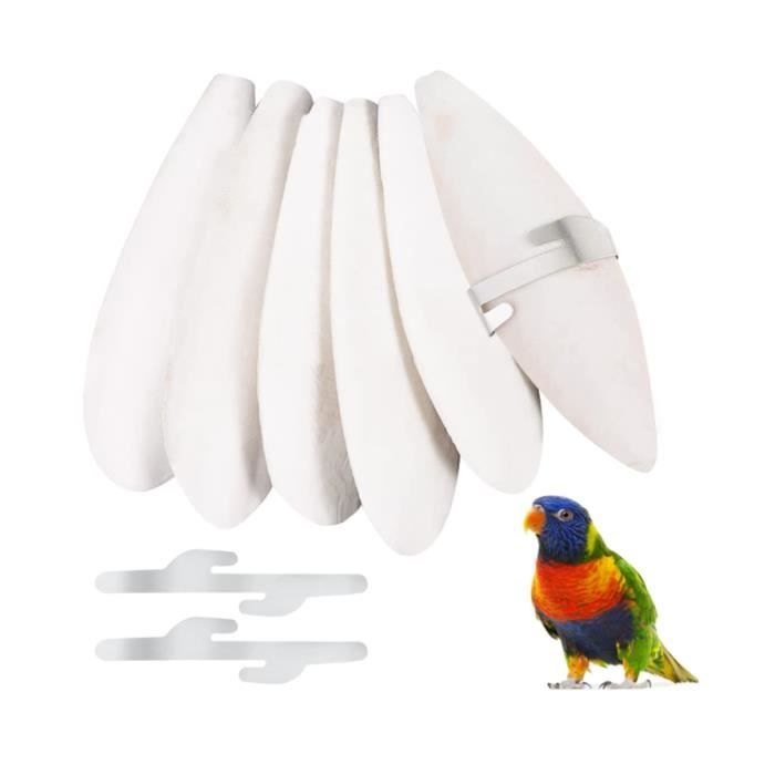 Os de Seiche,Os de Seiche pour Oiseaux Jouet Molaire,Jouets à Mâcher ...