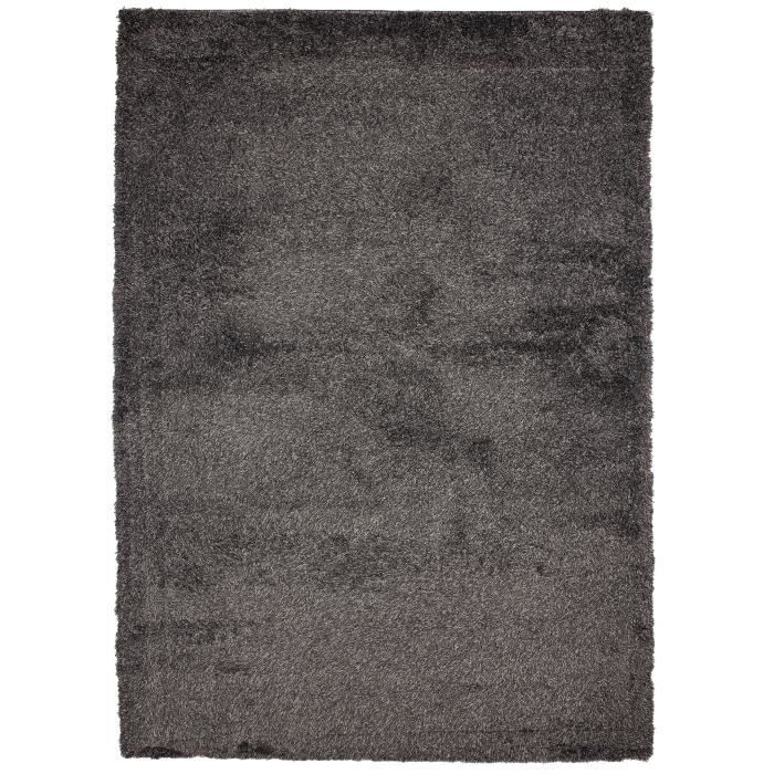 TAPISO Tapis Salon Shaggy Poils Longs EVRA Gris Foncé Unicolore Polypropylène Intérieur 200x300 ...