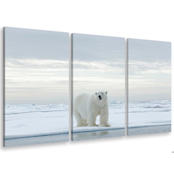 Tableau Contemporain - HXA DECO - Ours Blanc et Banquise - Toile ...