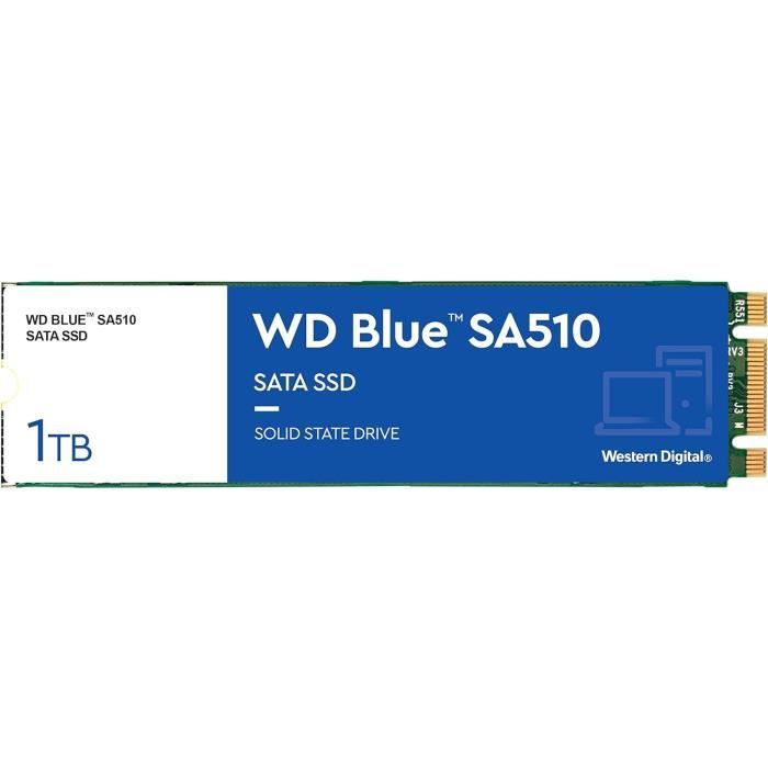 Wd Blue Sa510 1 To, Sata Ssd, Jusqu'À 560 Mo-S, Comprend Acronis True Image For , Clonage De ...