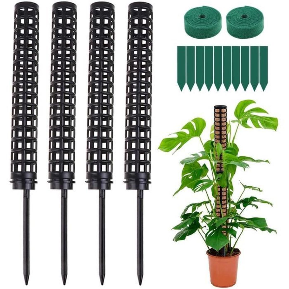 4Pcs tuteur Coco Monstera connectable,tuteur Plante grimpante,tuteur ...
